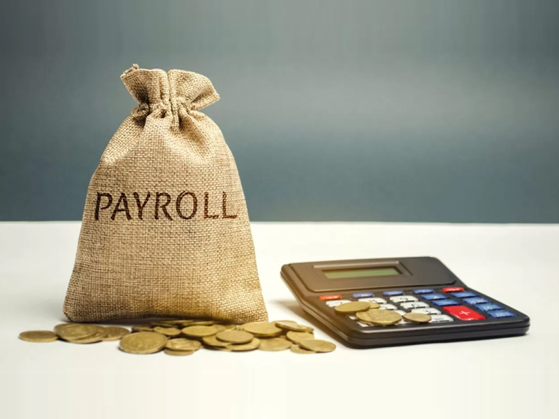 Professional Payroll Services - Payworx